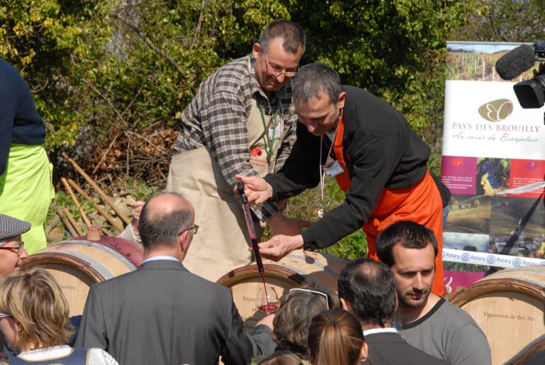 Dormance 554 | Marc Vanel