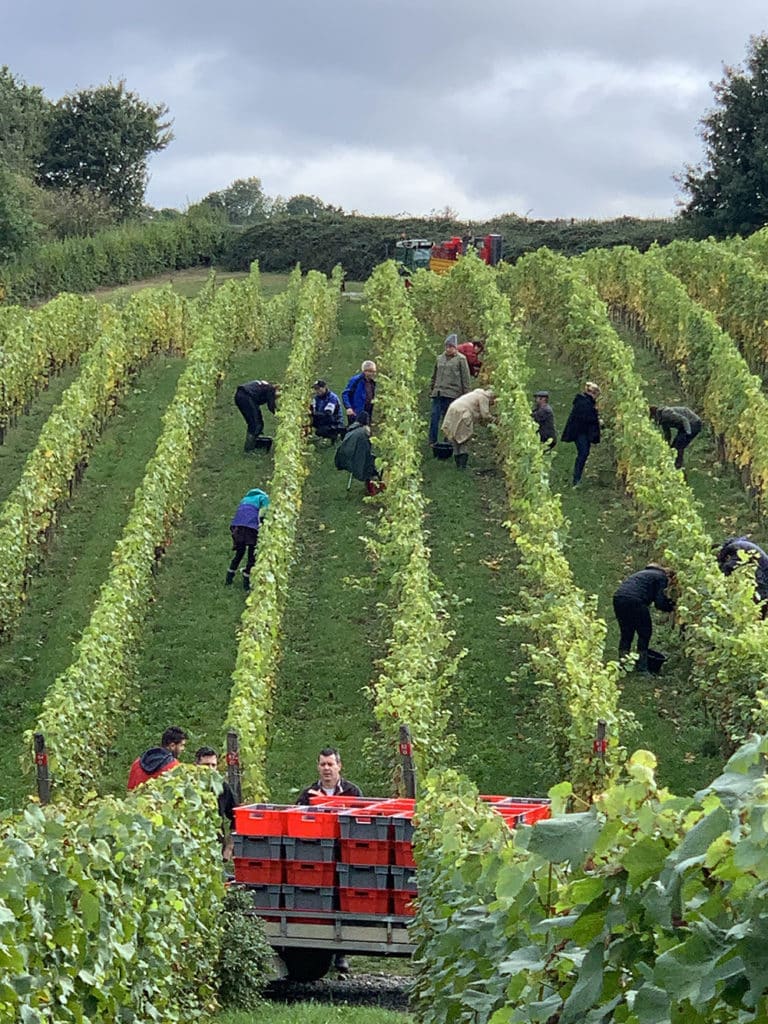 bousval-web - Marc Vanel