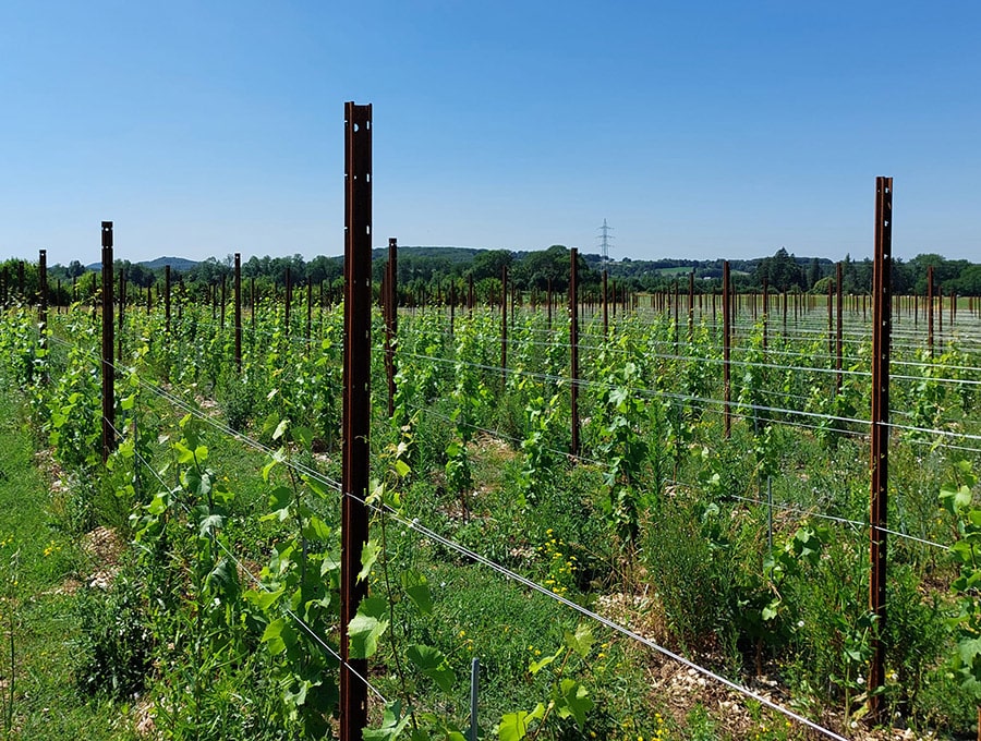 parcelle1 - Marc Vanel