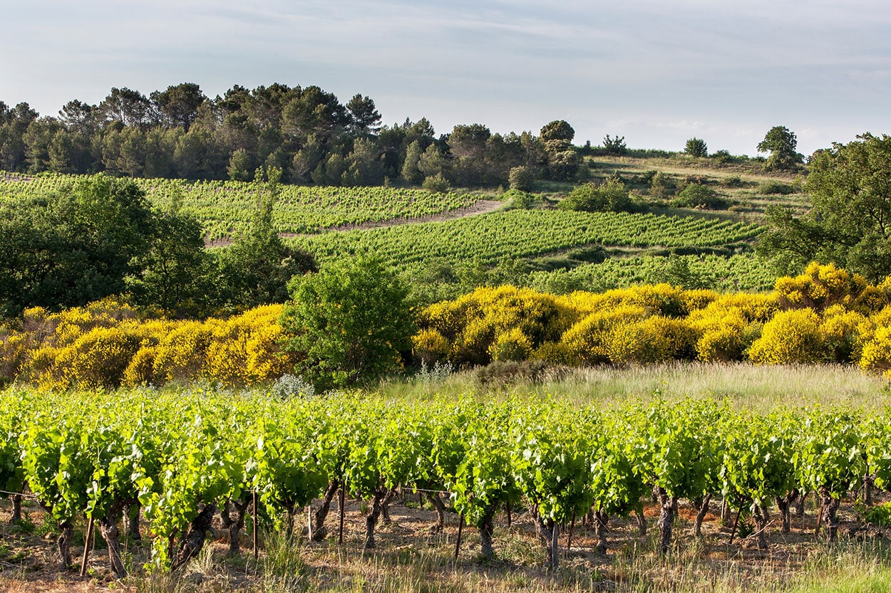 L’AOP Duché d’Uzès : dix ans déjà ! | Marc Vanel