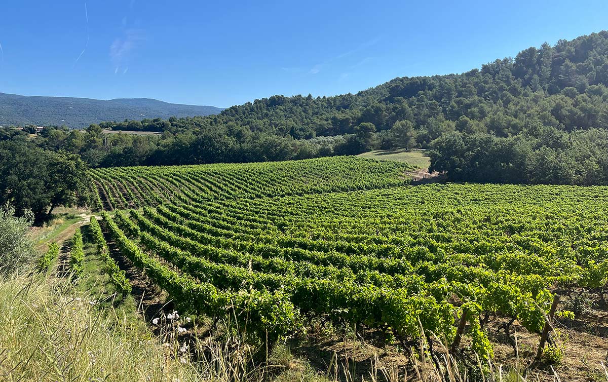 Destination Luberon avec le Domaine Perréal | Marc Vanel